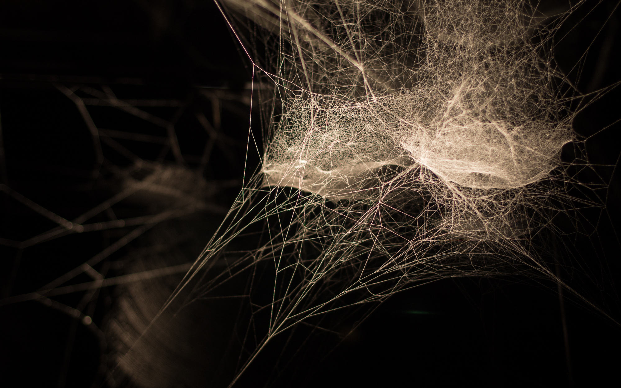 Interconnected Interconnected